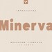 Minerva Handwritten Typeface - Etsy