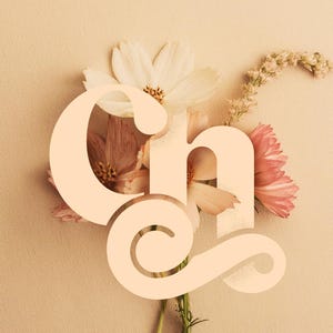 Hefton - Ligature Display Typeface, Retro Font, Logo Font, Branding ...