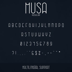 Musa Display Typeface - 12 Fonts - Etsy