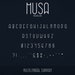 Musa Display Typeface 12 Fonts - Etsy