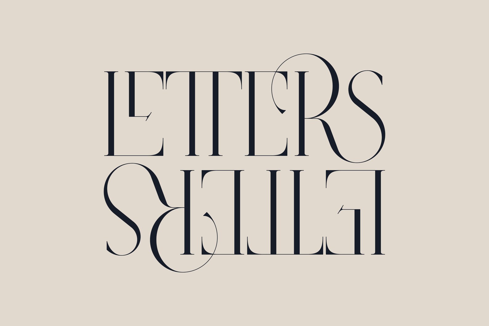 Type Master Ligature Serif Font – Sophisticated Typeface With 100 ...