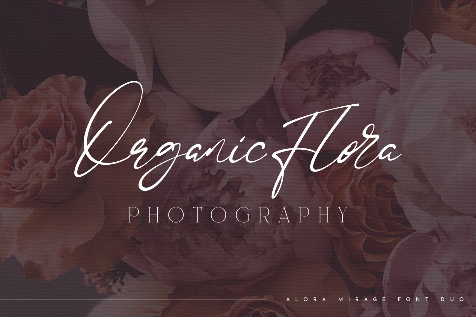 Alora & Mirage Modern Font Duo - Etsy