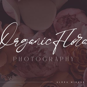 Alora & Mirage - Modern Font Duo - Etsy