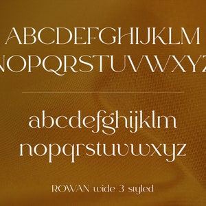 Rowan Typeface - 116 Styles & Script - Etsy