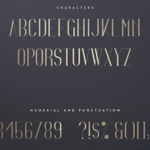 Irina Luxe Serif Font - Etsy