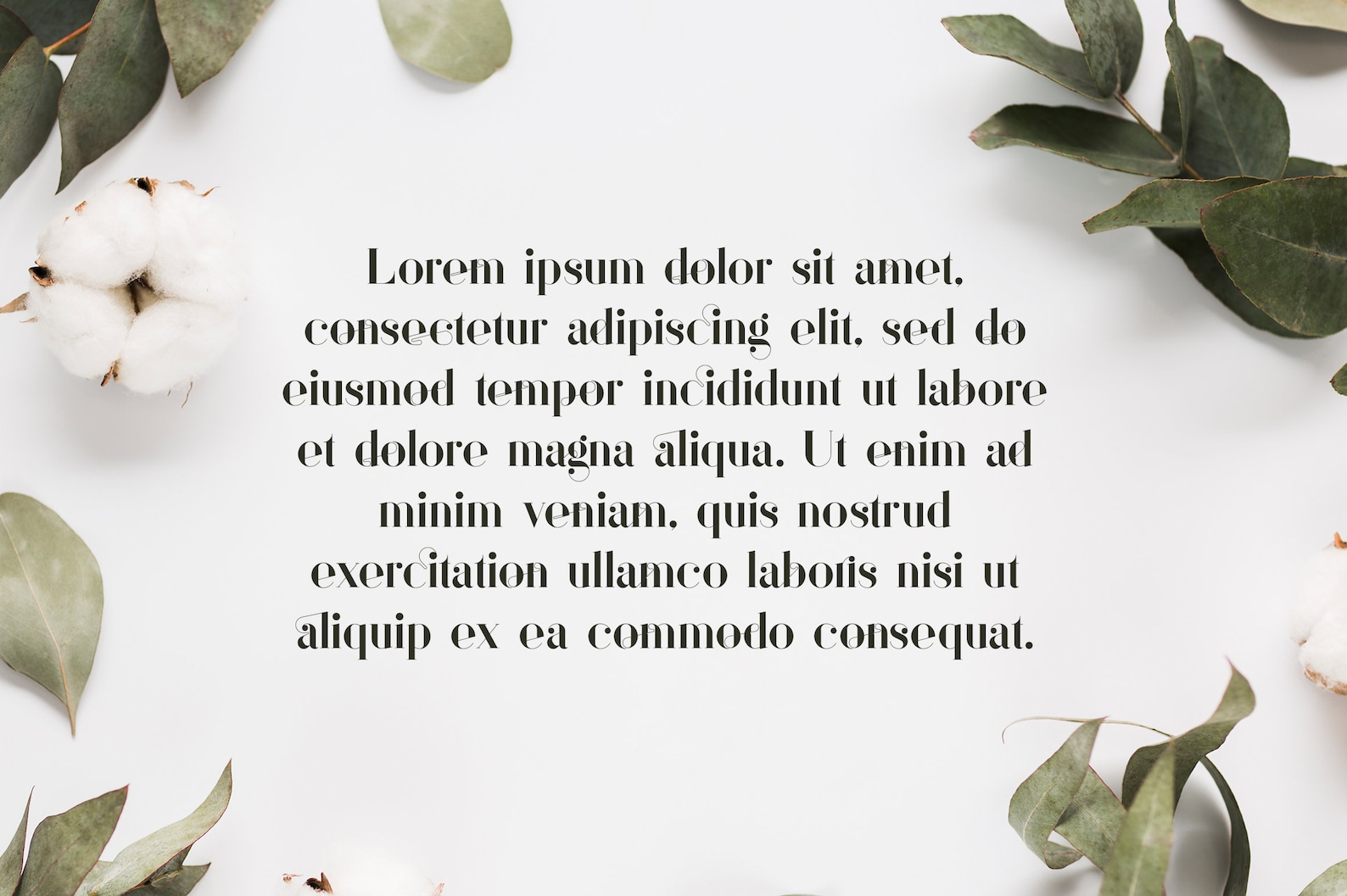 Sonder Serif Typeface – Elegant 5-weight Family With Ligatures ...