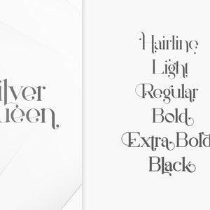 Silver Queen - Serif Typeface - Etsy