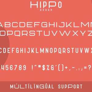 Hippo Sans Serif – Clean and Playful Geometric Font Family in Regular ...