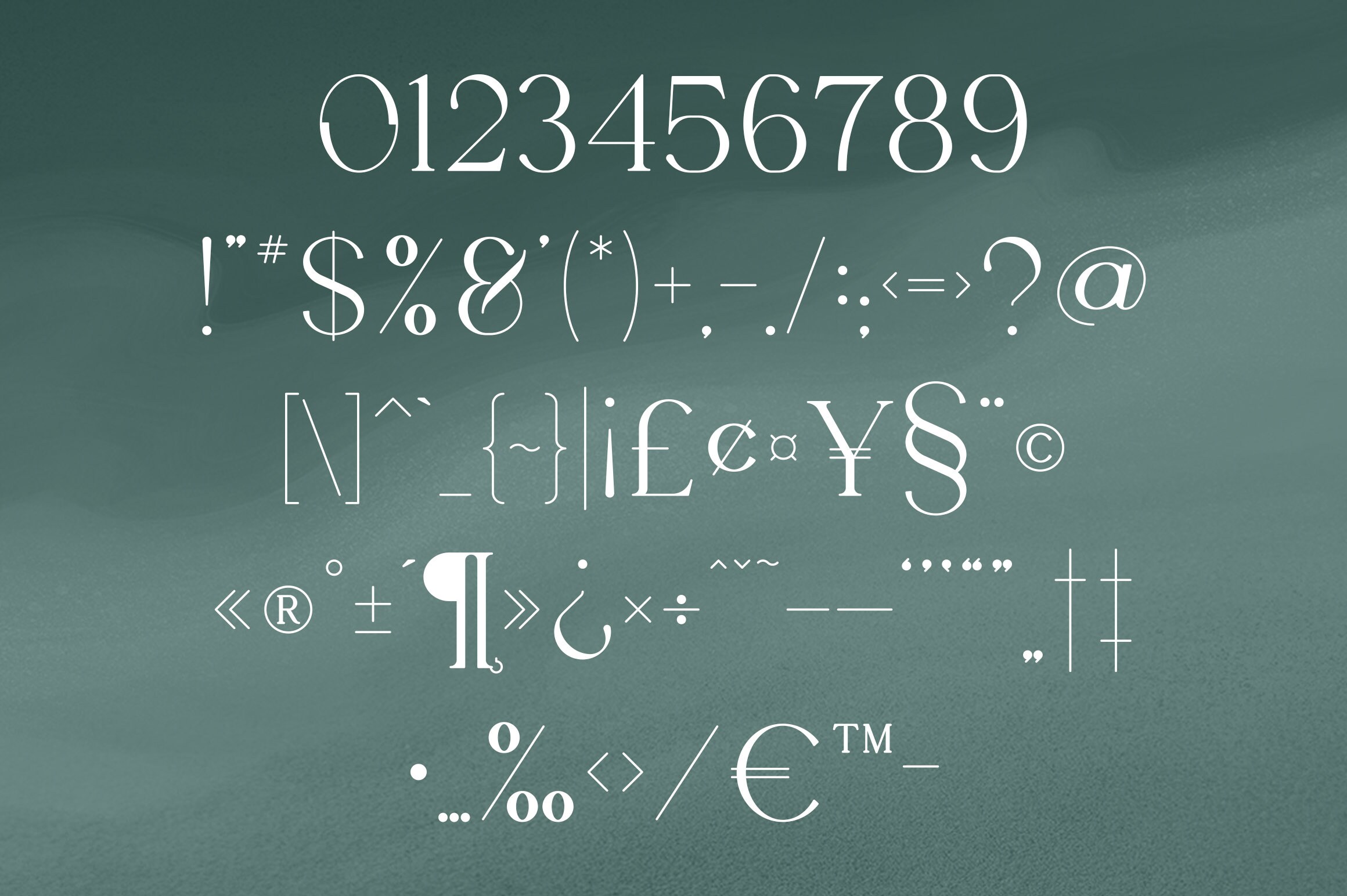 Seafont Serif Typeface 25 Styles - Etsy