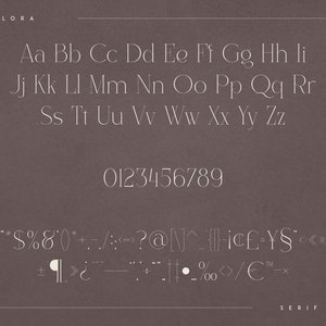 Alora - Serif Typeface | 4 Fonts Only Fonts Only Fonts - Etsy