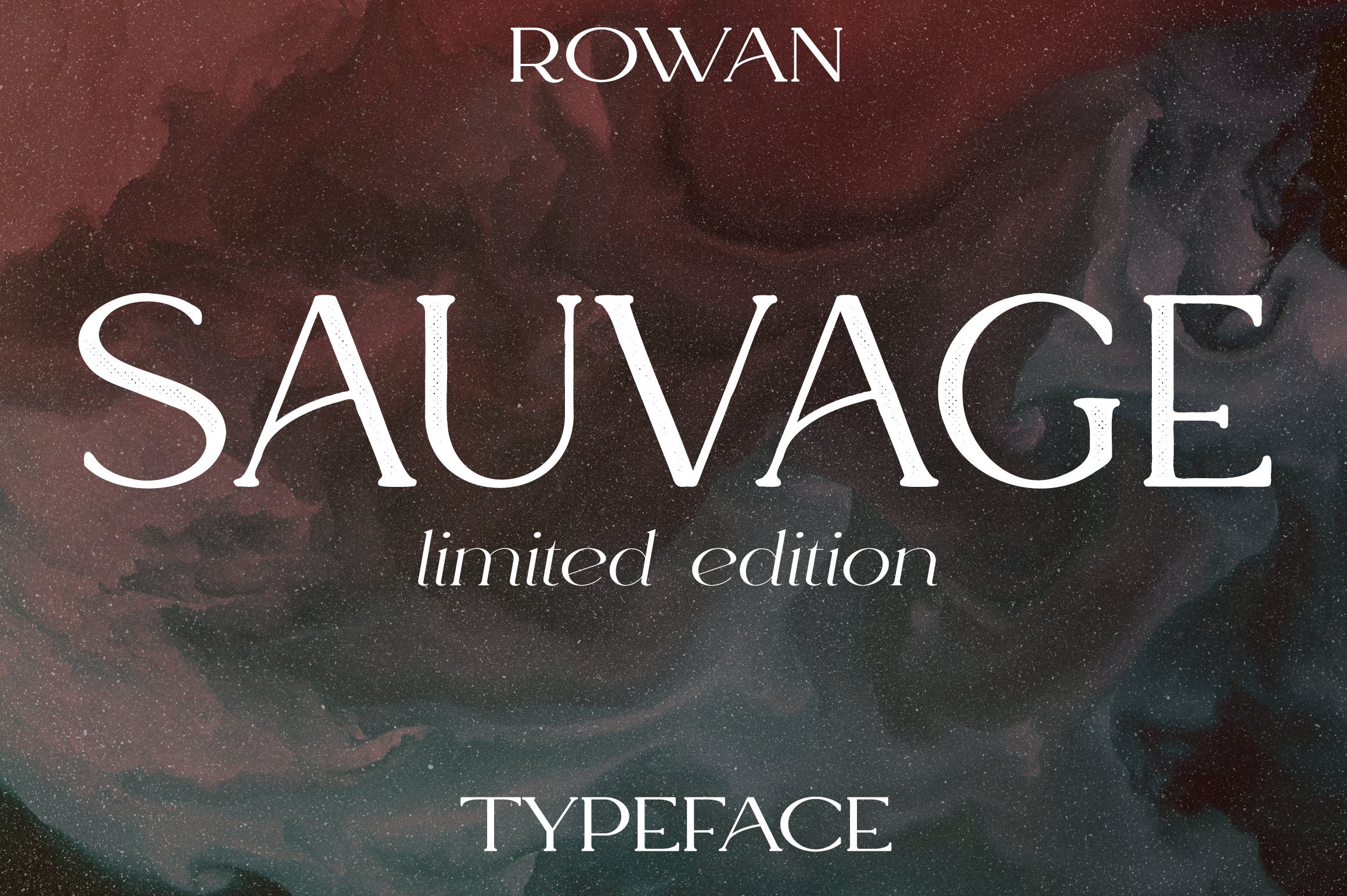Rowan Typeface 116 Styles & Script - Etsy