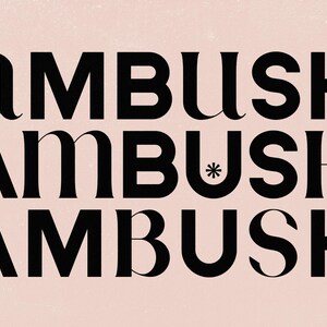 Neat Type - Elegant Fusion Font - Etsy