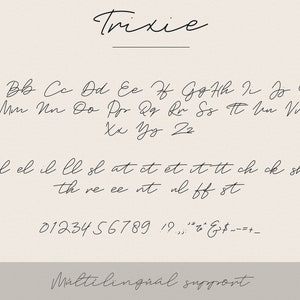 Trixie Script - 3 Weights - Etsy