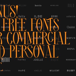 Font Starter Pack 3 - Procreate Fonts, Canva Fonts, Branding Font ...