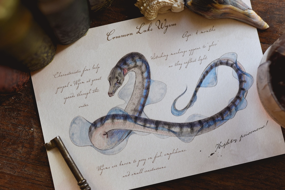 Common Lake Wyrm With Notes - Giclée Art Print - Dragon Art - Hot Press ...