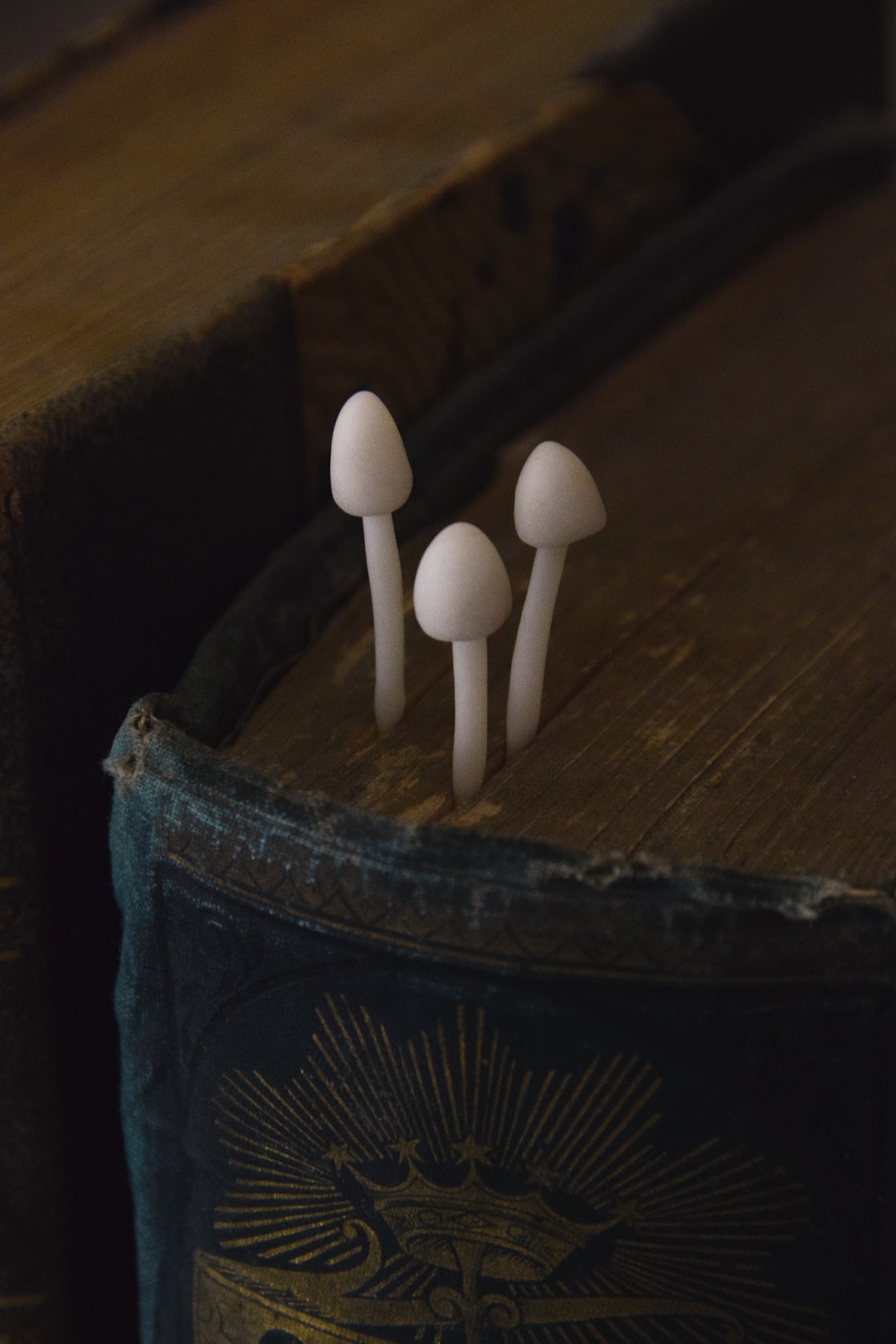 Glowing Bookcase Mushrooms Book Supplies Library Decor Cute Fantasy ...