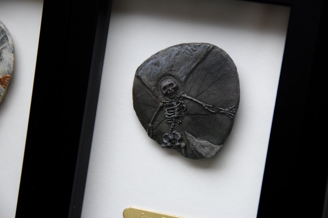 Fairy Fossil Fantasy Curiosity Gothic Art Mummified Fairy Fairy Art ...