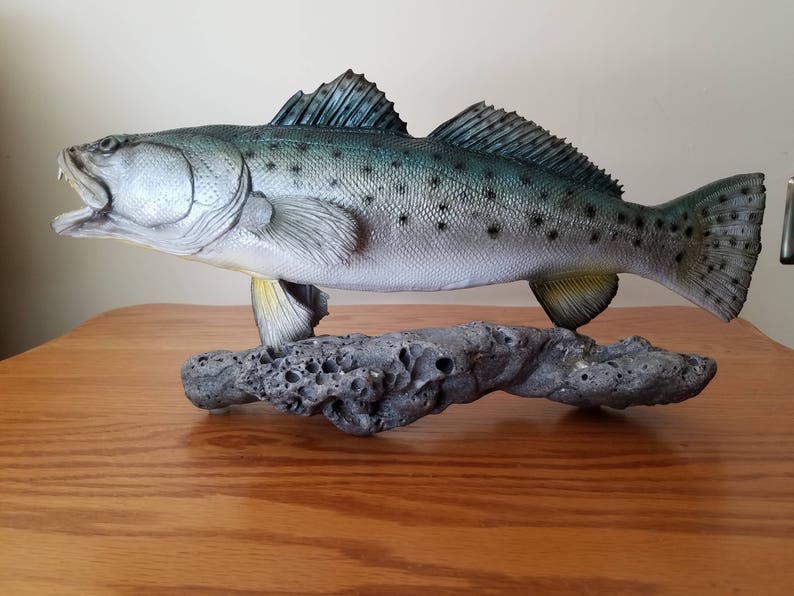 Trout on Rock (original) - Etsy