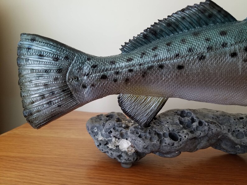 Trout on Rock (original) - Etsy