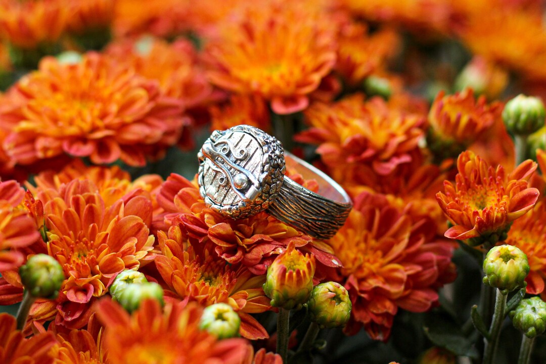 Locket Silver Ring, Gift for Hobbit Lover, Fairy Door, Hobbit Jewelry ...