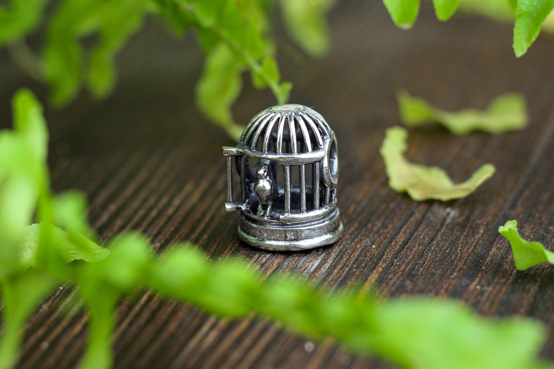 Silver Bead, Bird Sitting in a Cage, Charms for Bracelet, Freedom ...