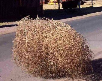 Tumbleweed | Etsy
