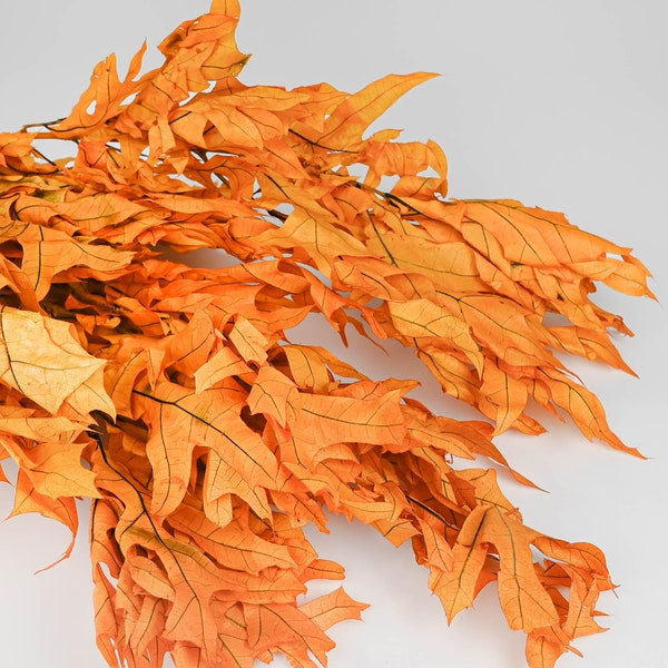 Preserved Leaves - Etsy