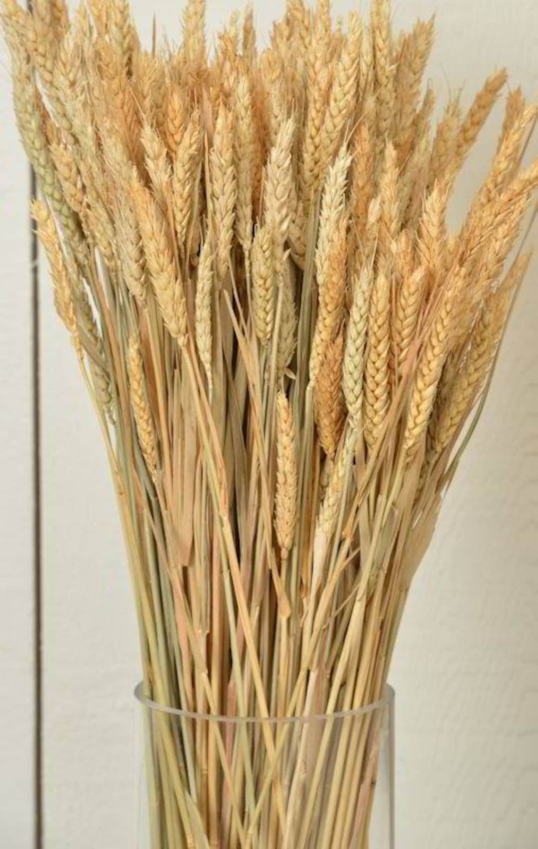 Rye Stalks Rye Bundle Rye Shocks Dried Decor Natural Decorations - Etsy