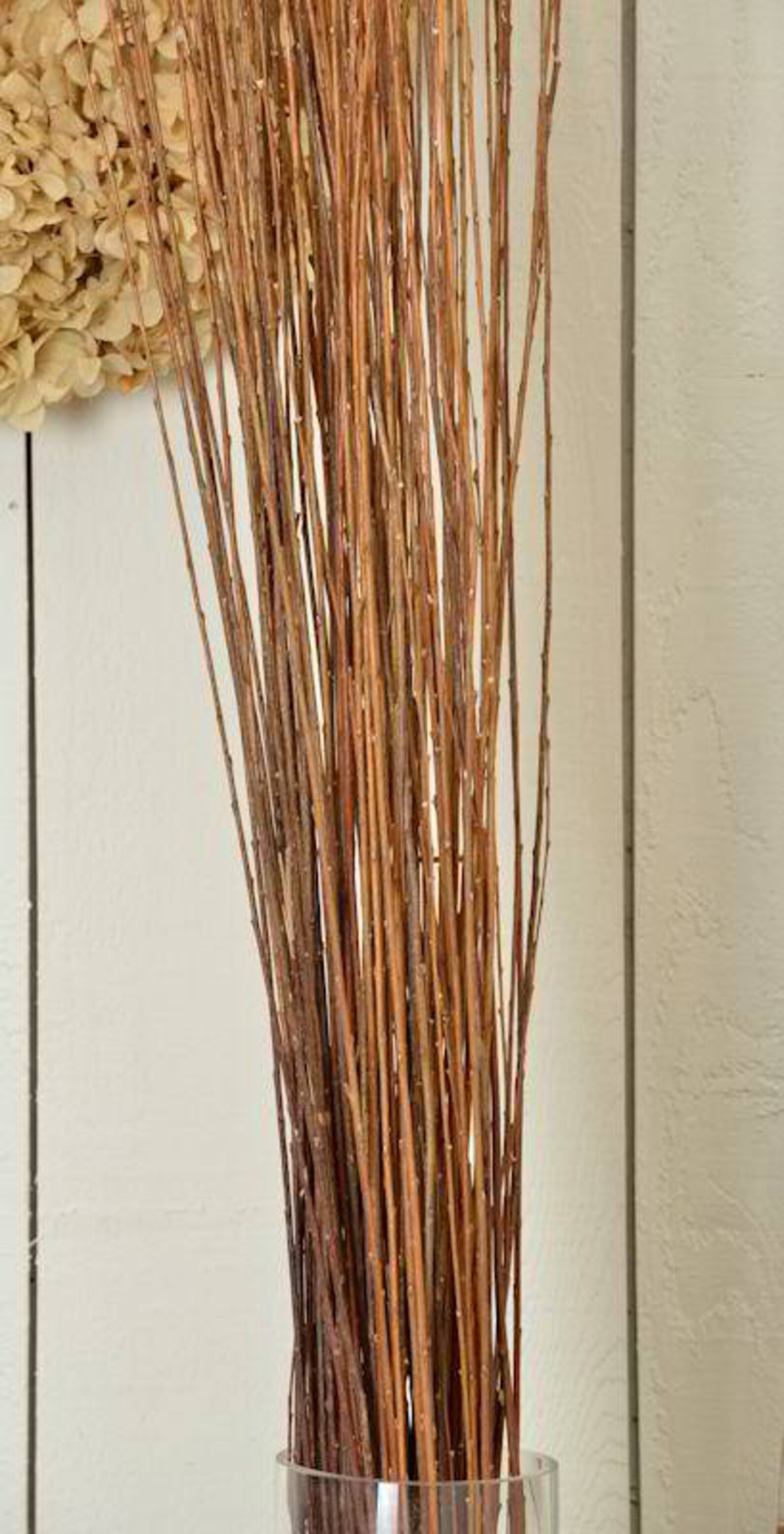Asian Willow Long Branches Asian Willow Branches Natural - Etsy