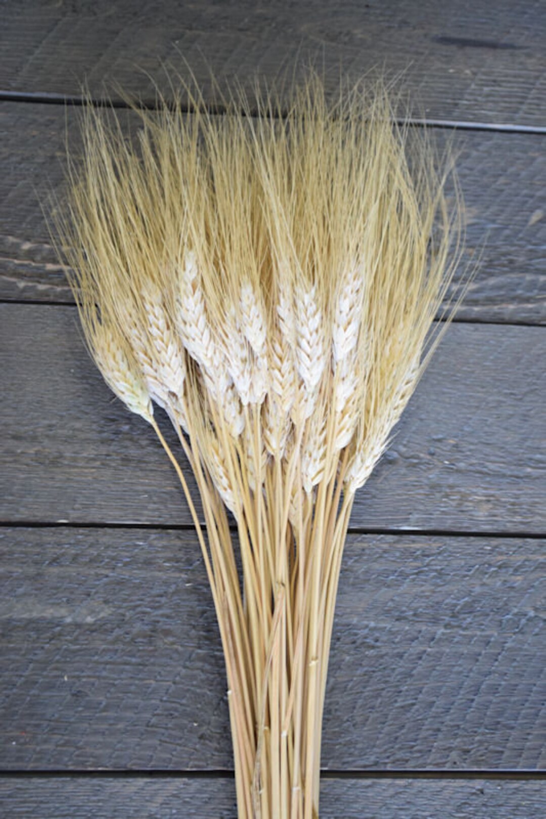 8 Oz Blonde Wheat 60 Stems Wheat Wheat Bunches Wedding Decor Wheat ...