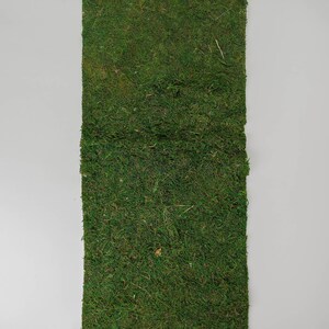 Moss Table Runner 14 X 48 Dried Moss Moss Runner Dried Decor - Etsy