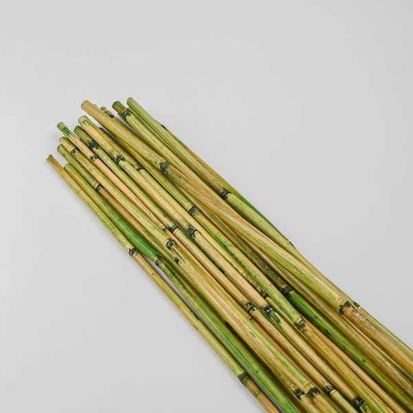 Bamboo Decor - Etsy
