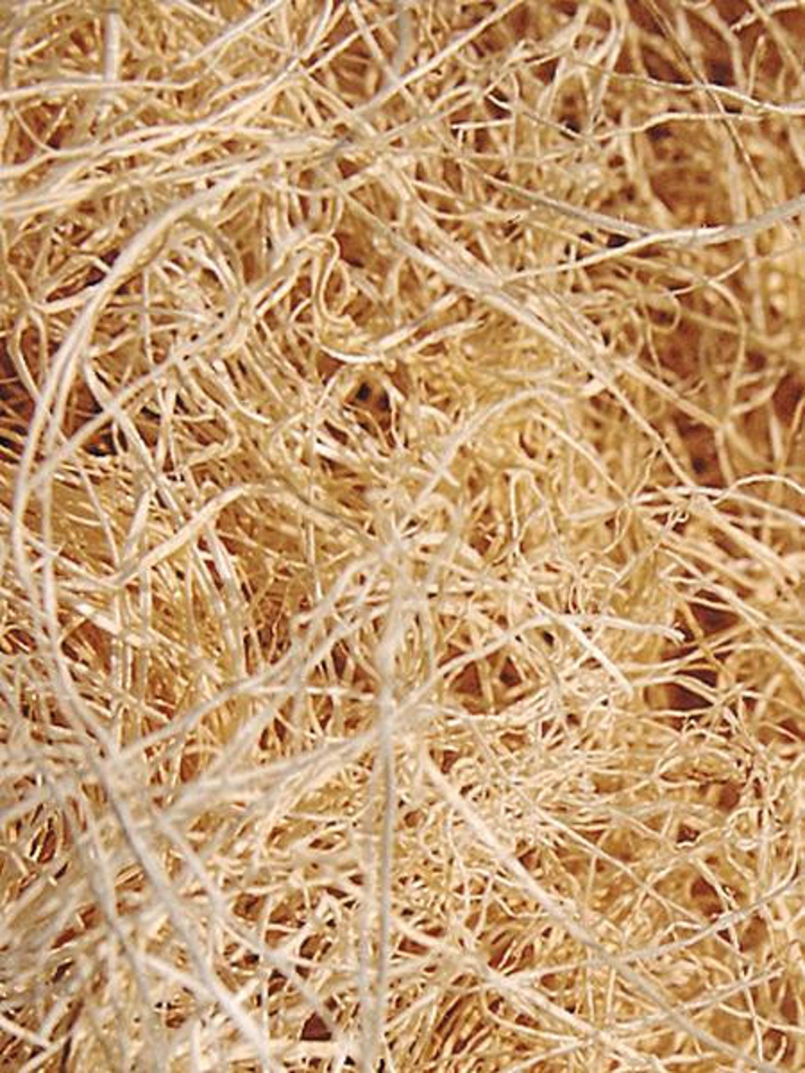 Natural Wood Excelsior Craft Excelsior Natural Packing - Etsy