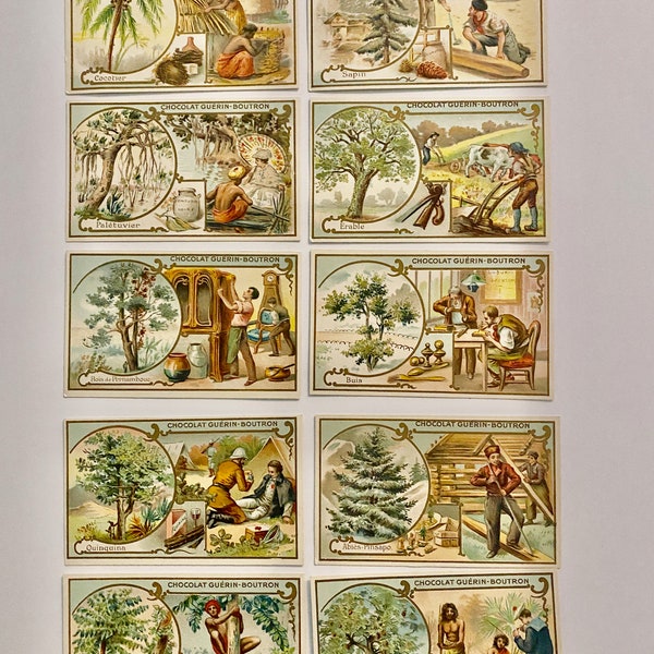 Victorian Trade Card - Etsy