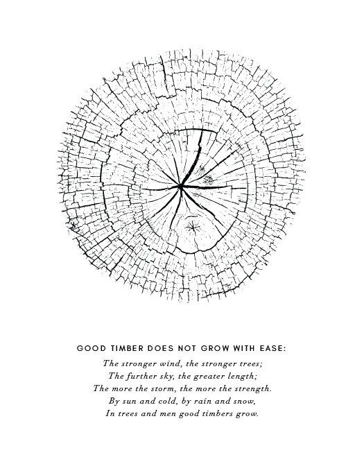 Good Timber Poem: 11x14 DIGITAL PDF DOWNLOAD, Good Timber, Tree, Poem ...