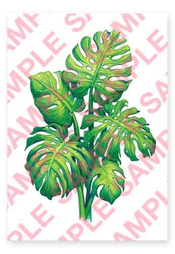 Monstera A4 Digital PDF Download - Etsy