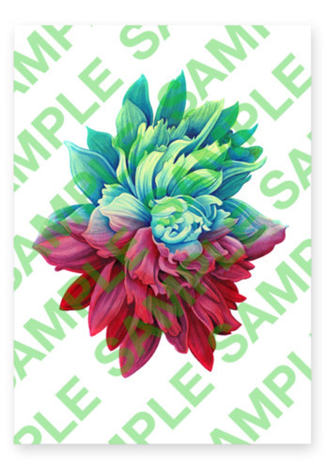 Aurora Begonia - Etsy