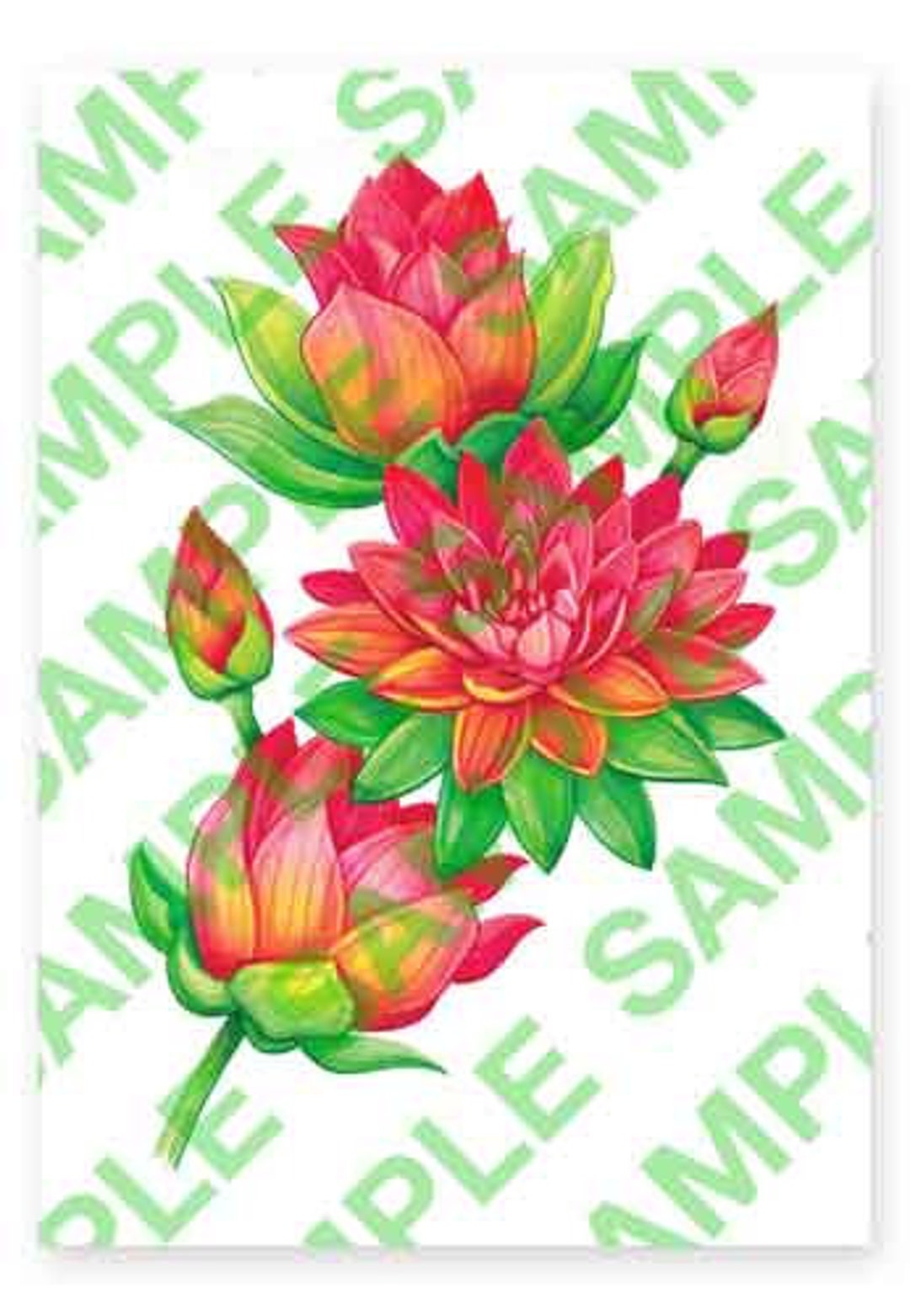 Lotus Blossoms A4 Digital PDF Download - Etsy
