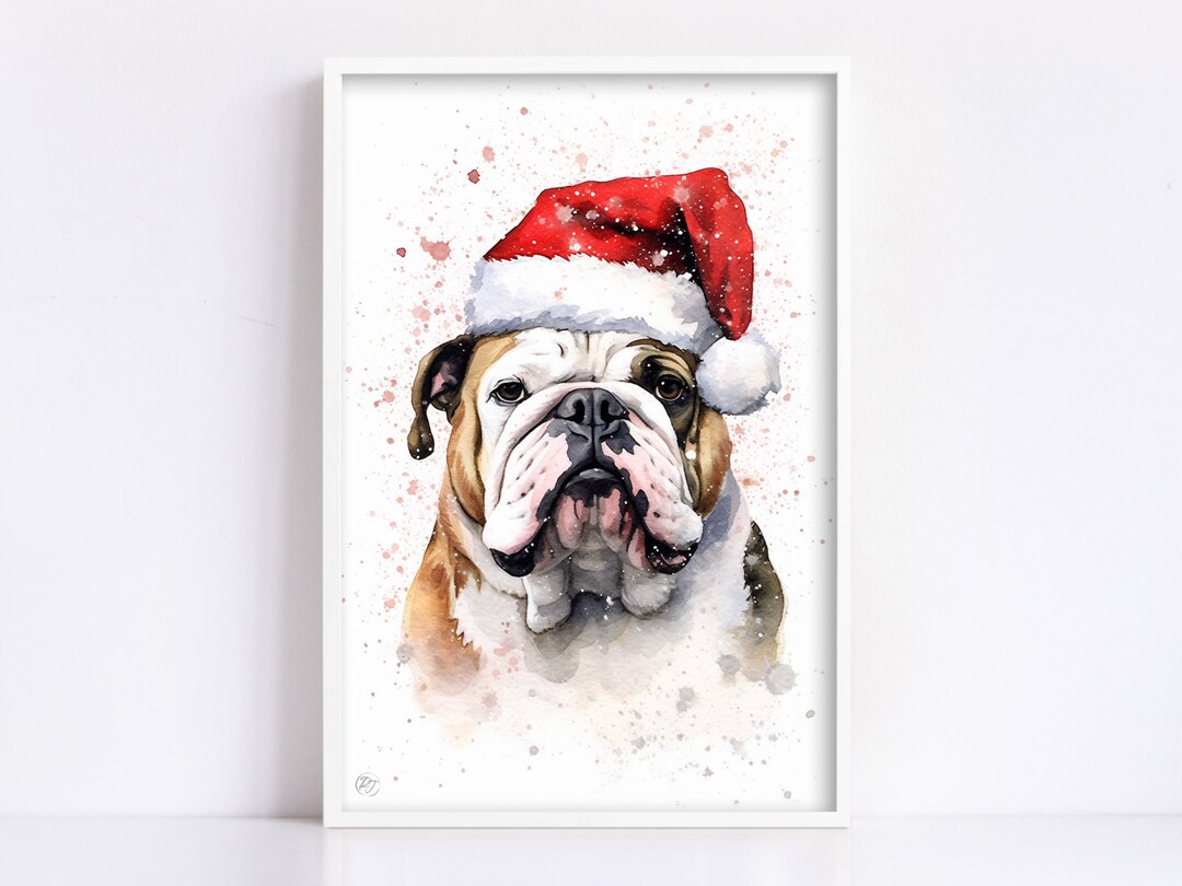 Christmas Bulldog - English Bulldog With Santa Hat, Giclee Print on ...