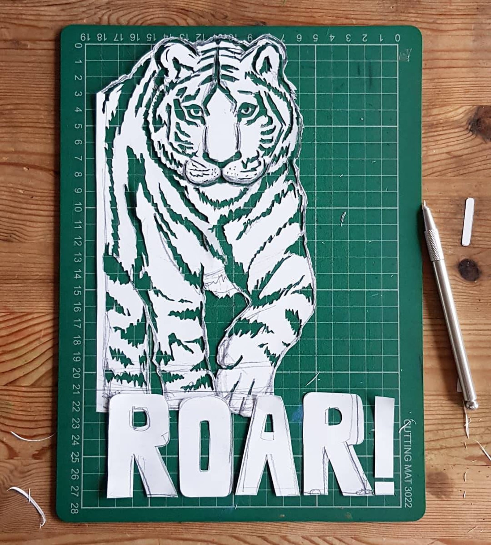 Tiger Screenprint Screenprinted Tiger From a Handmade - Etsy