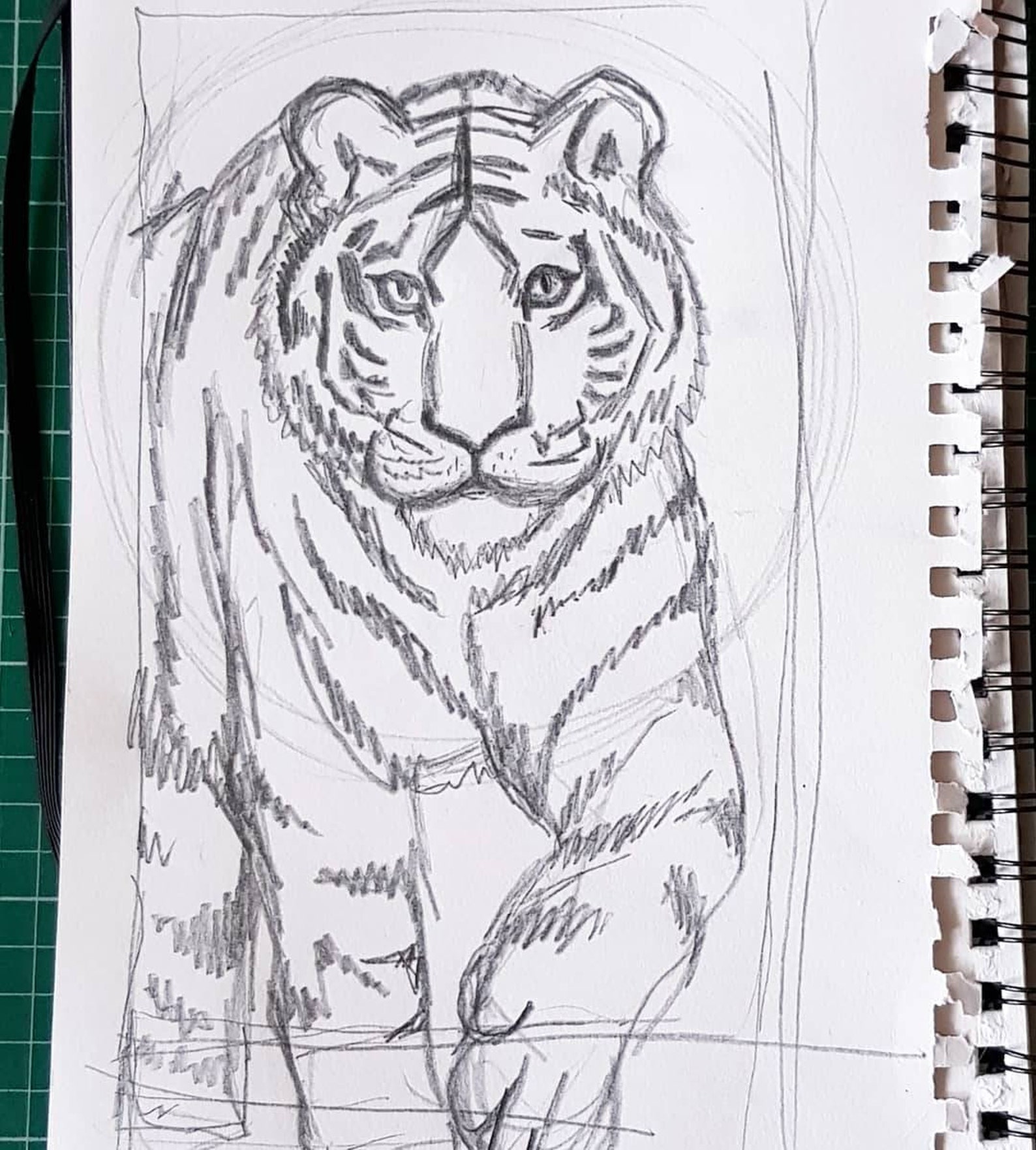 Tiger Screenprint Screenprinted Tiger From a Handmade - Etsy