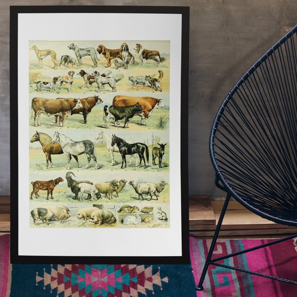 Adolphe Millot - Etsy