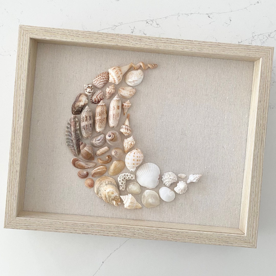 Crescent Moon Shell Shadow Box Art With Glass Enclosure - Etsy