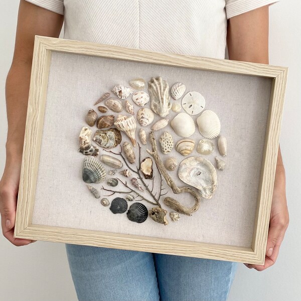 Shell Art Shadow Box - Etsy