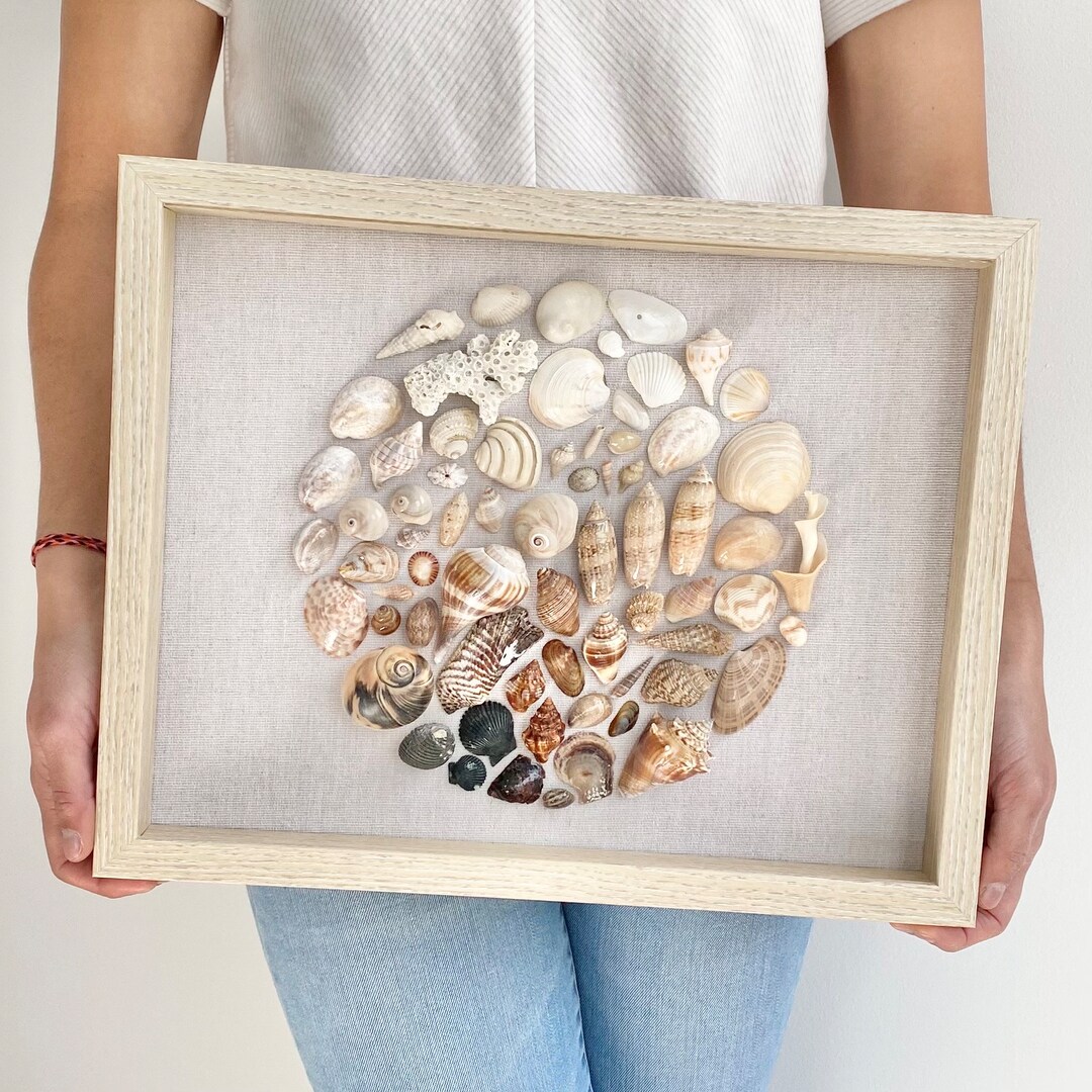 Dark to Light Gradient Shell Mosaic Shadow Box Art With Glass Enclosure ...