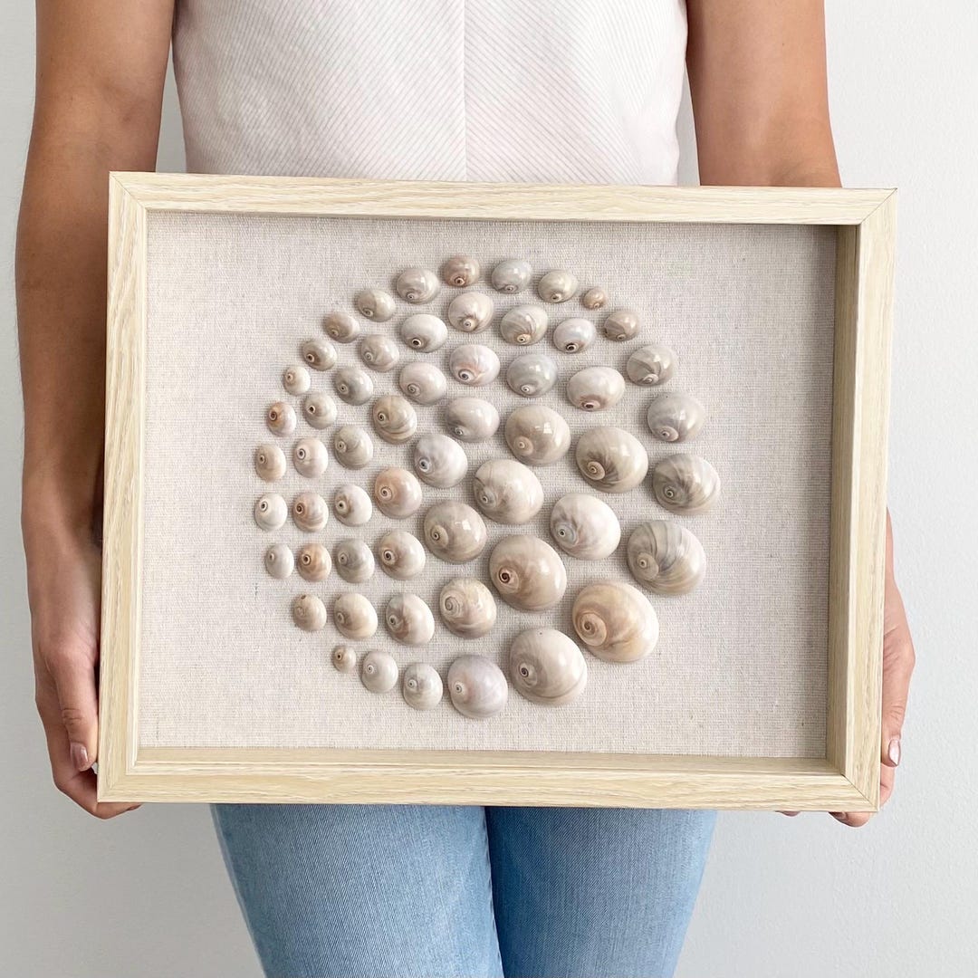 Geometric Shell Shadow Box Art With Glass Enclosure - Etsy