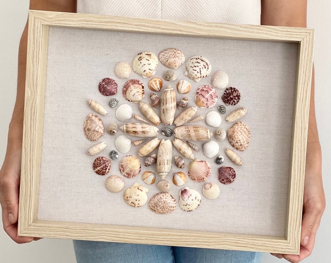 Shell Mandala Shadow Box Art With Glass Enclosure - Etsy