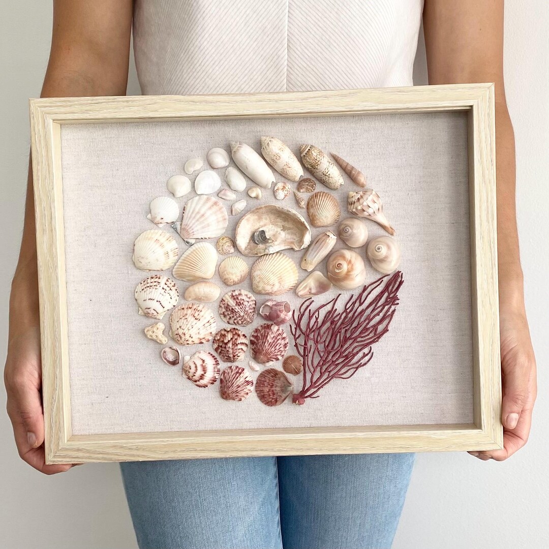 Sea Fan and Shell Mosaic Shadow Box Art With Glass Enclosure - Etsy