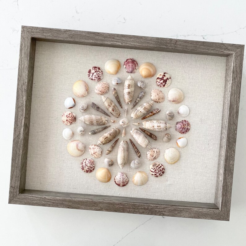Shell Mandala Shadow Box Art With Glass Enclosure - Etsy
