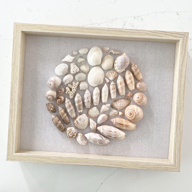 Natural Shell Mosaic Shadow Box Art With Glass Enclosure - Etsy